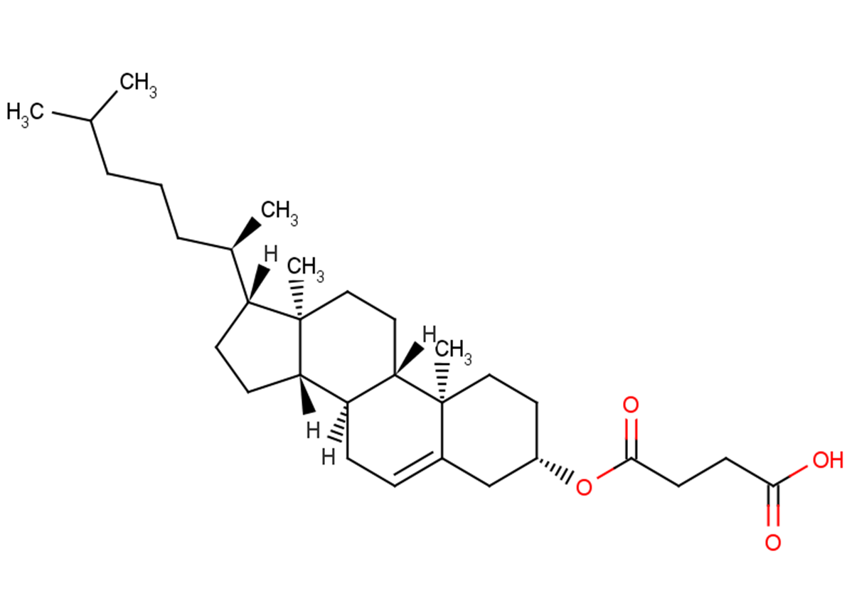 Cholesteryl Hemisuccinate | Apoptosis | DNA/RNA Synthesis ...