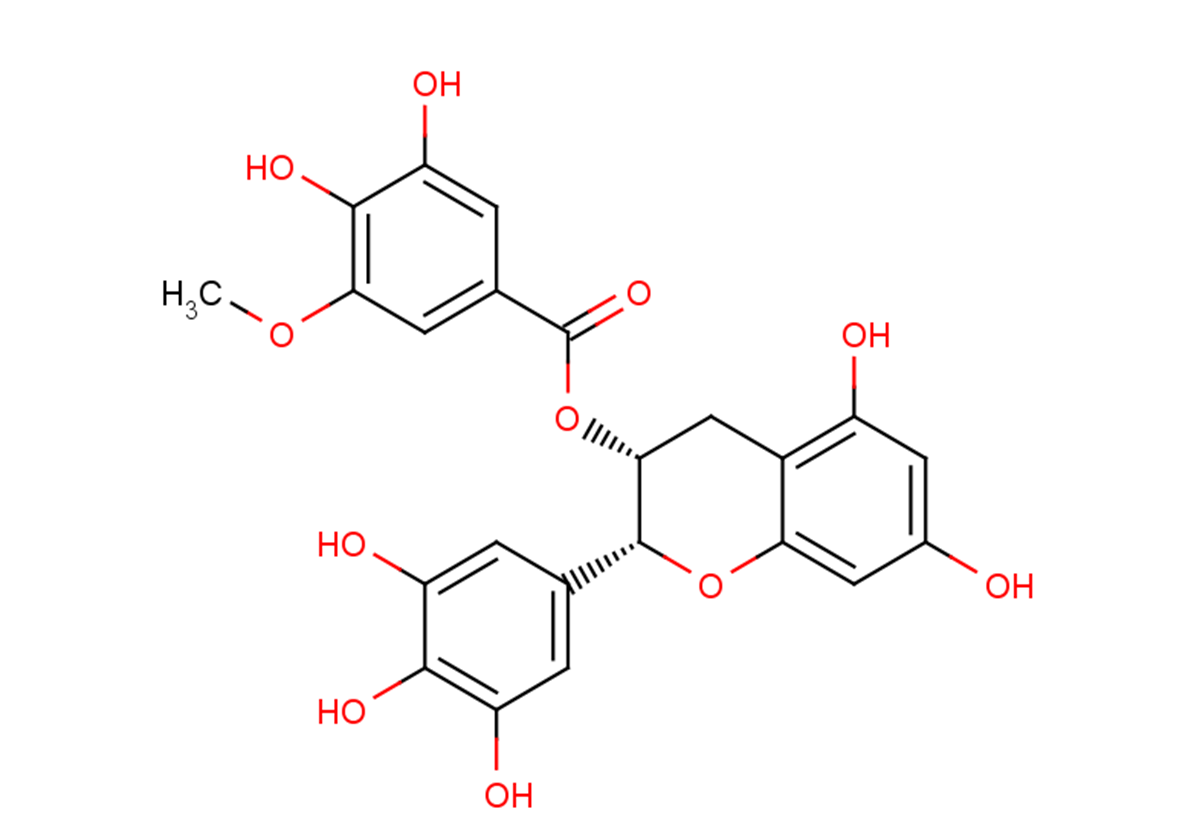 Epigallocatechin-3-(3''-O-methyl) gallate | Antioxidant | Antibacterial | TargetMol