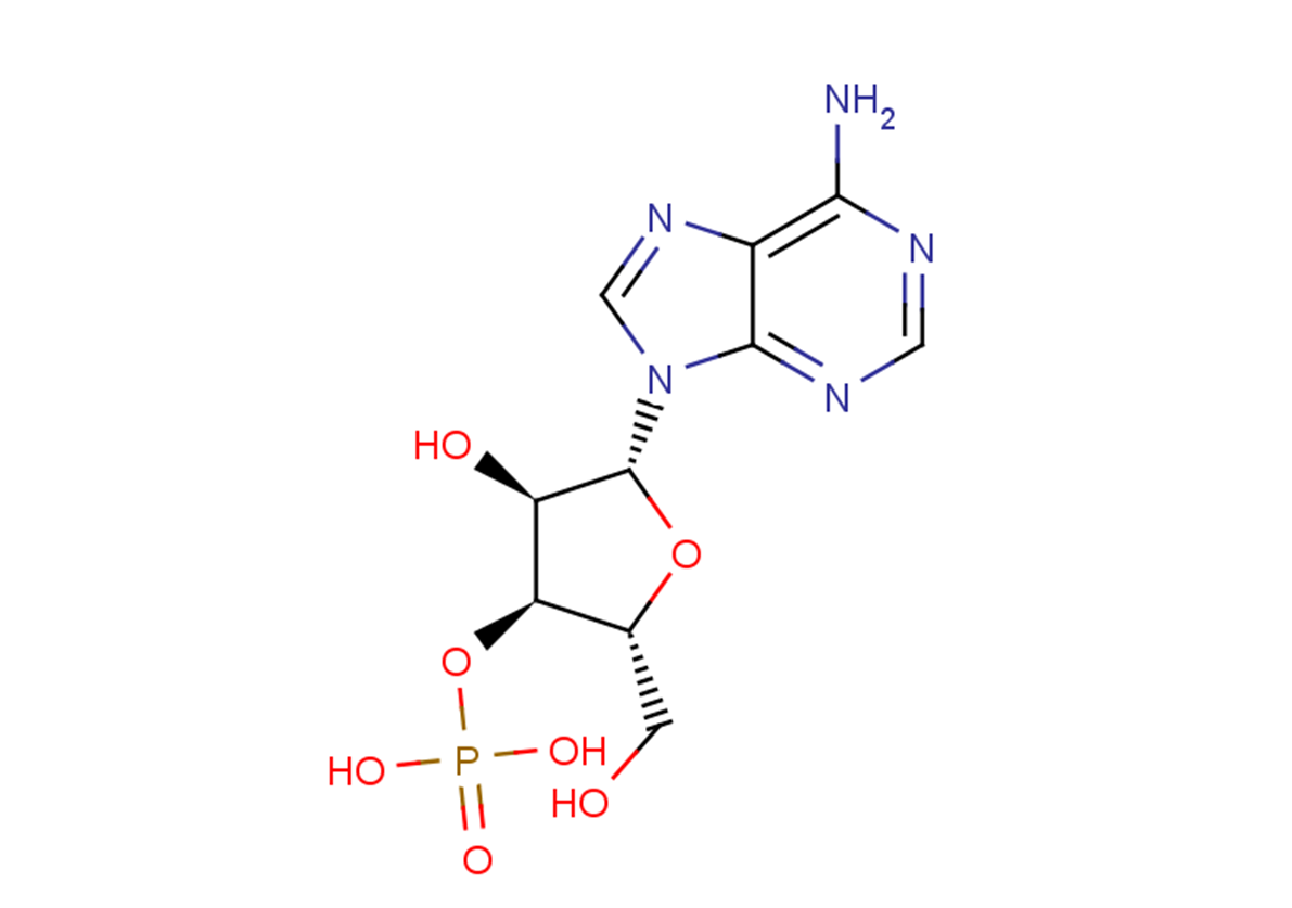 3'-Adenylic acid | Inhibitor | TargetMol