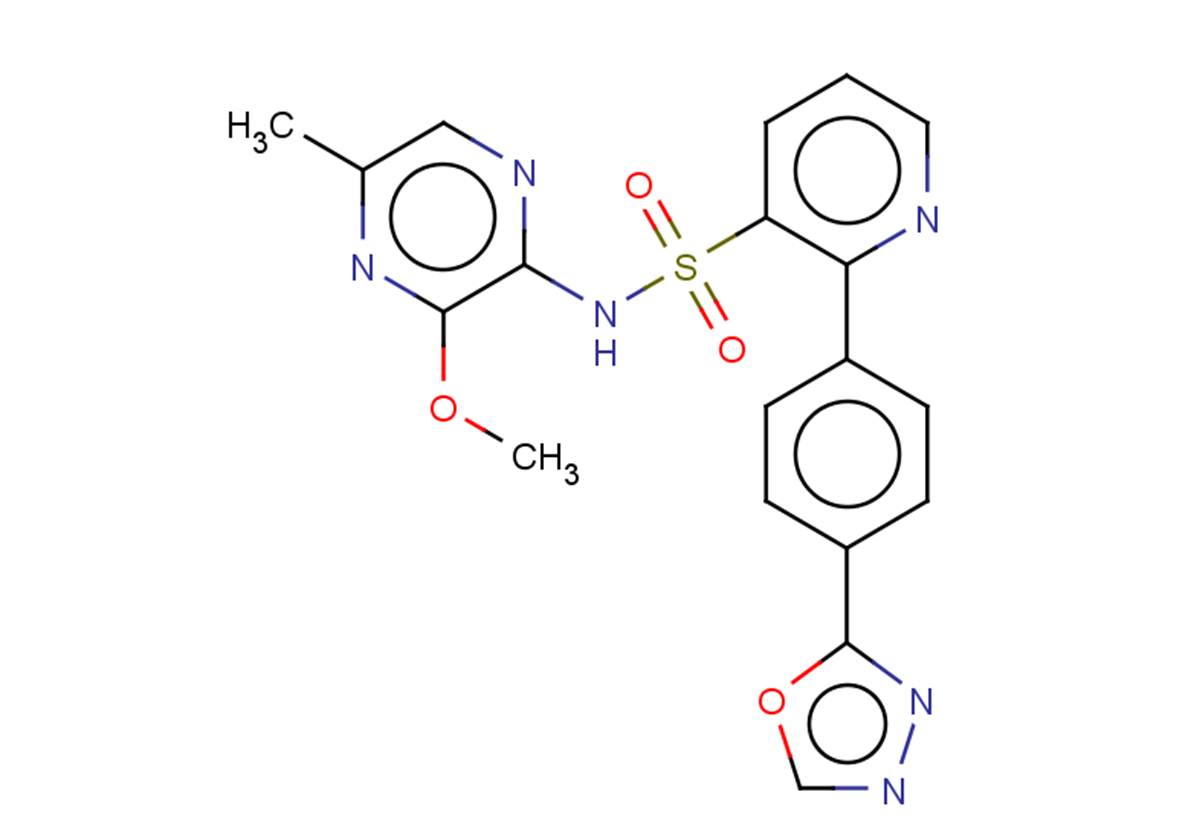 Zibotentan | Apoptosis | Endothelin Receptor | TargetMol