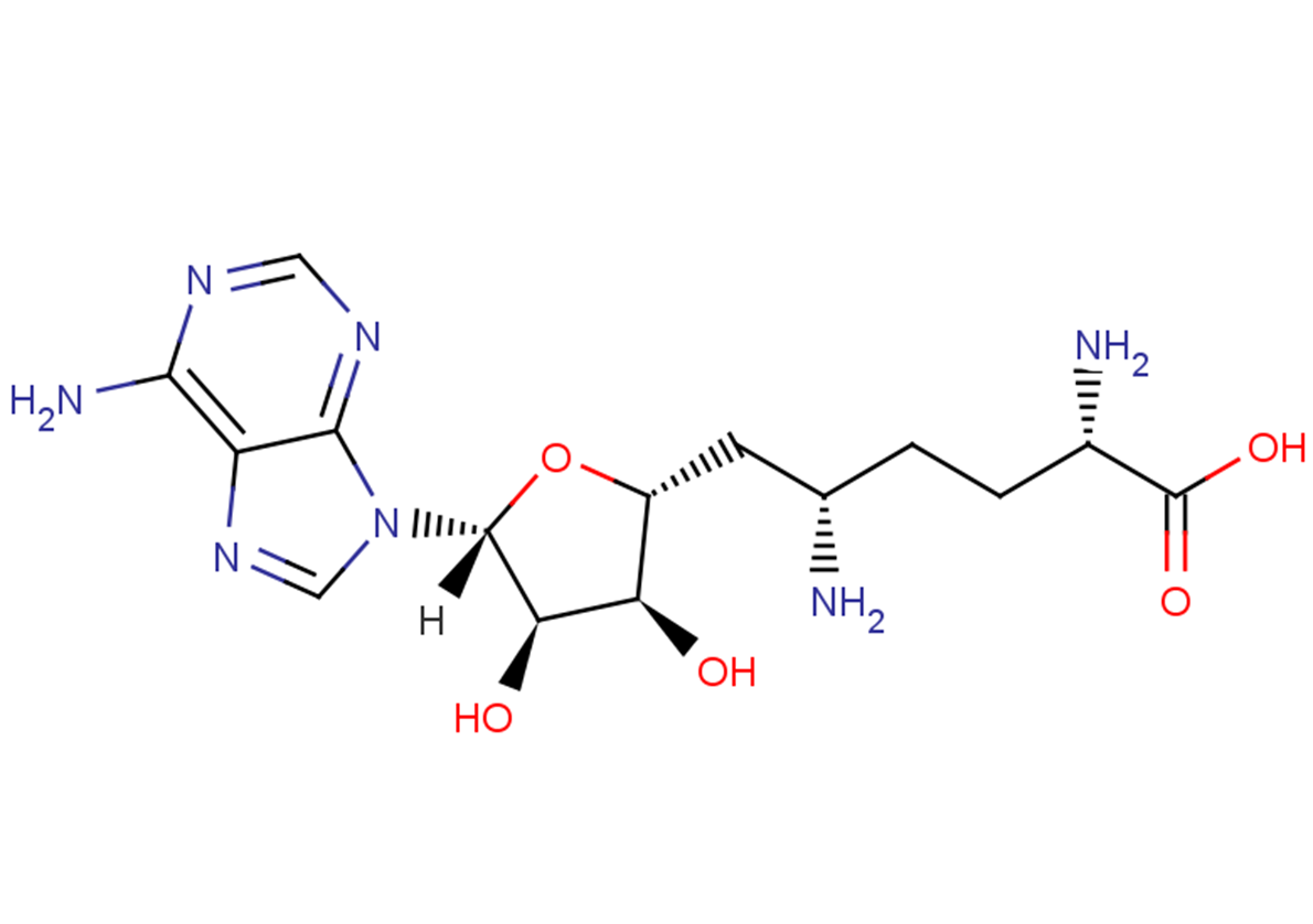 Sinefungin | Histone Methyltransferase | Inhibitor | Antibiotic ...