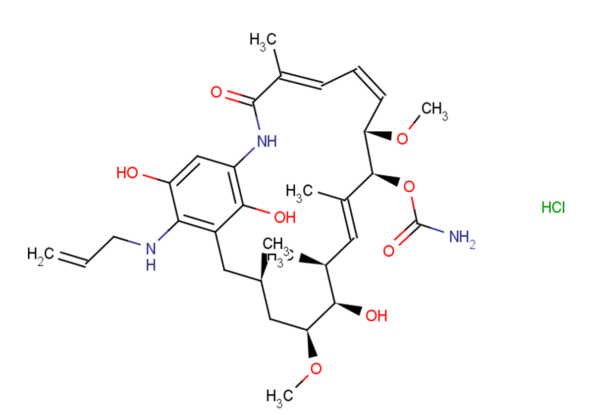 Retaspimycin Hydrochloride | Inhibitor | TargetMol