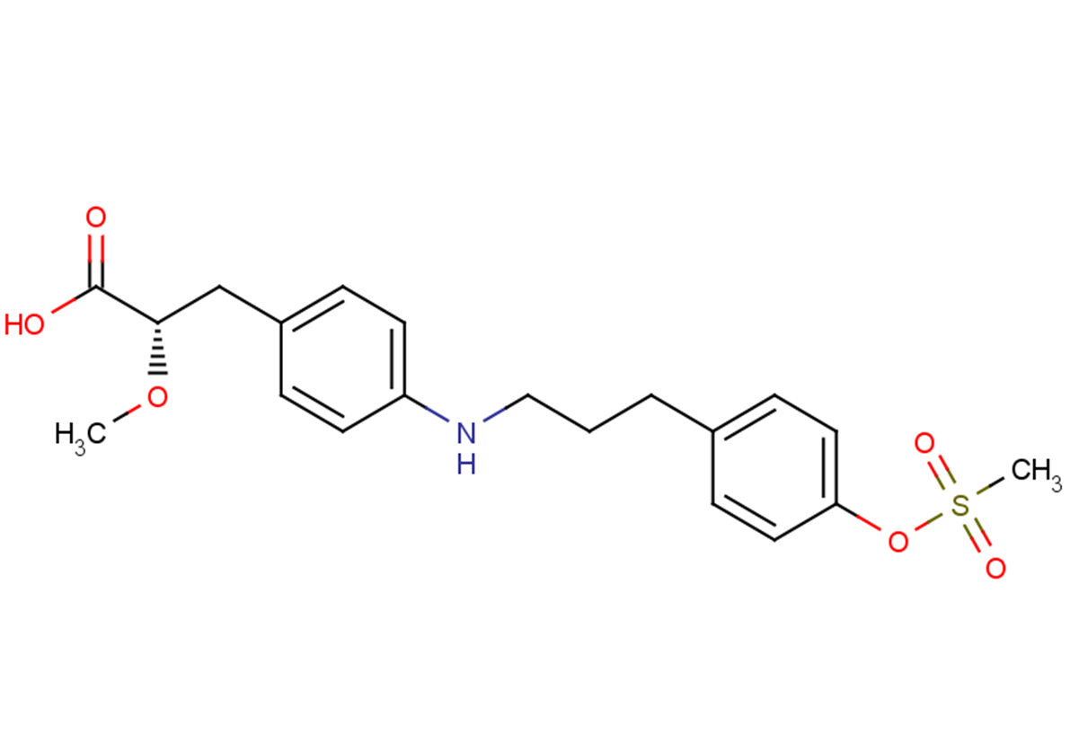 PPAR agonist 1 | PPAR | TargetMol