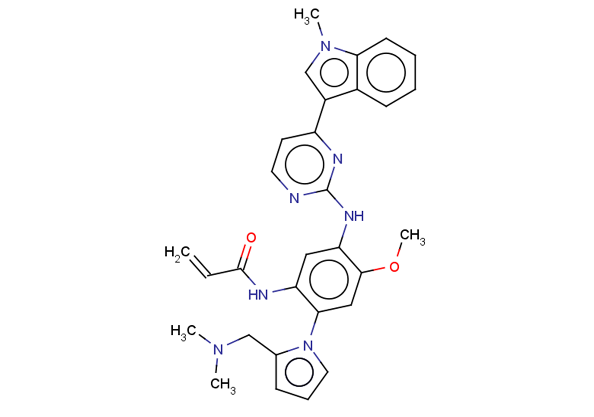 EGFR kinase inhibitor 1 | TargetMol