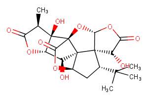 Ginkgolide B | Apoptosis | Endogenous Metabolite | PAFR | TargetMol