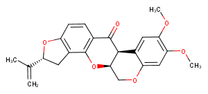 Rotenone | Apoptosis | Dehydrogenase | Mitochondrial Metabolism | p53 ...