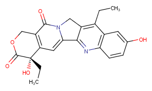 SN-38 | DNA/RNA Synthesis | Topoisomerase | Autophagy | TargetMol