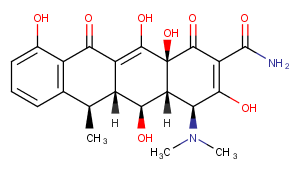 Doxycycline | MMP | ribosome | Antibacterial | Antibiotic | Parasite ...
