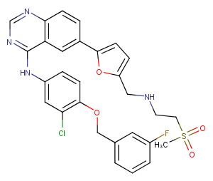 Lapatinib | Autophagy | EGFR | Ferroptosis | TargetMol