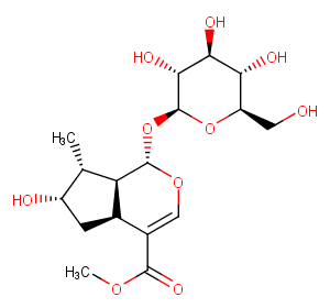 Loganin | Apoptosis | NF-κB | BACE | AChR | AChE | TargetMol