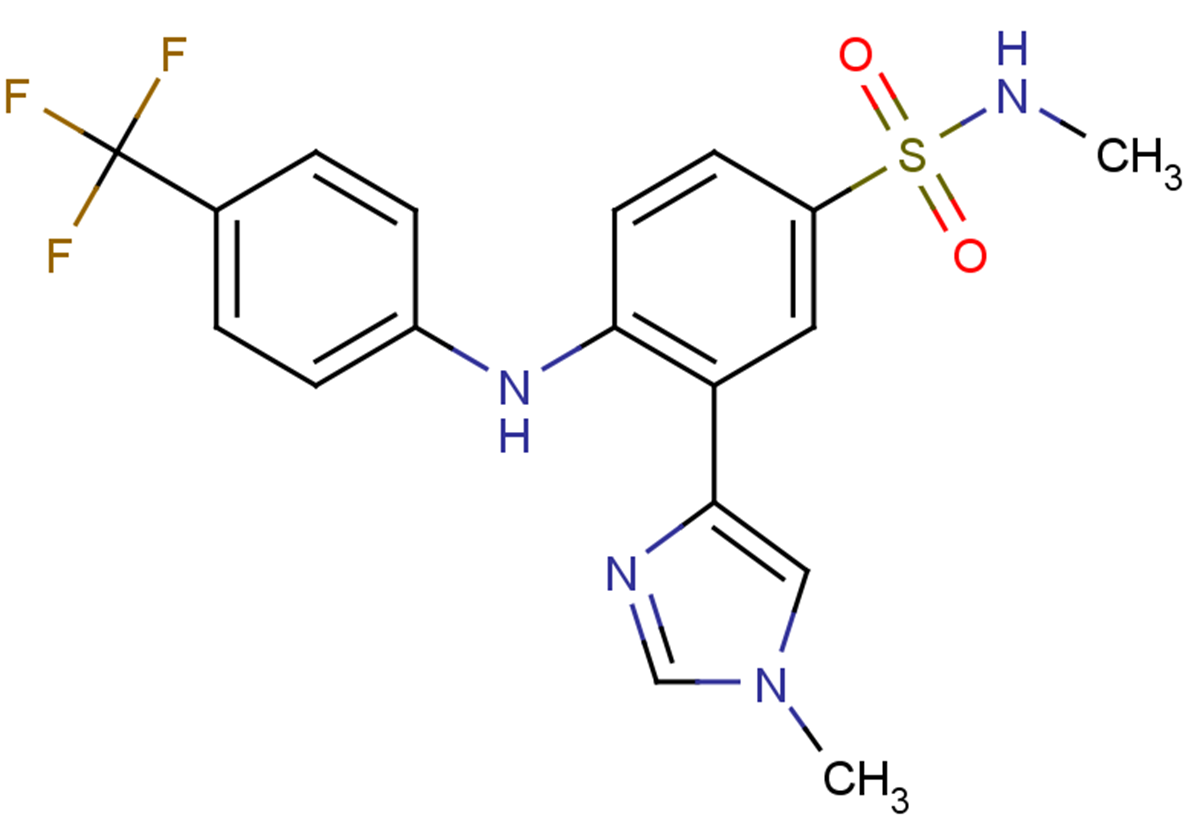 VT103 | YAP | TargetMol