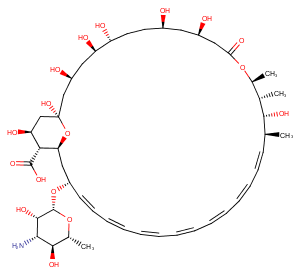 Amphotericin B | Antibiotic | Antifungal | TargetMol