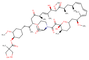 Temsirolimus | Apoptosis | mTOR | Autophagy | TargetMol