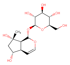 Ajugol | Parasite | TargetMol