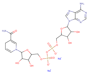 NADH disodium salt | Inhibitor | Endogenous Metabolite | TargetMol