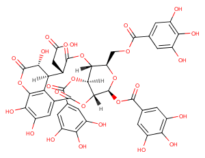 Chebulinic acid | ATPase | Proton pump | DNA/RNA Synthesis ...