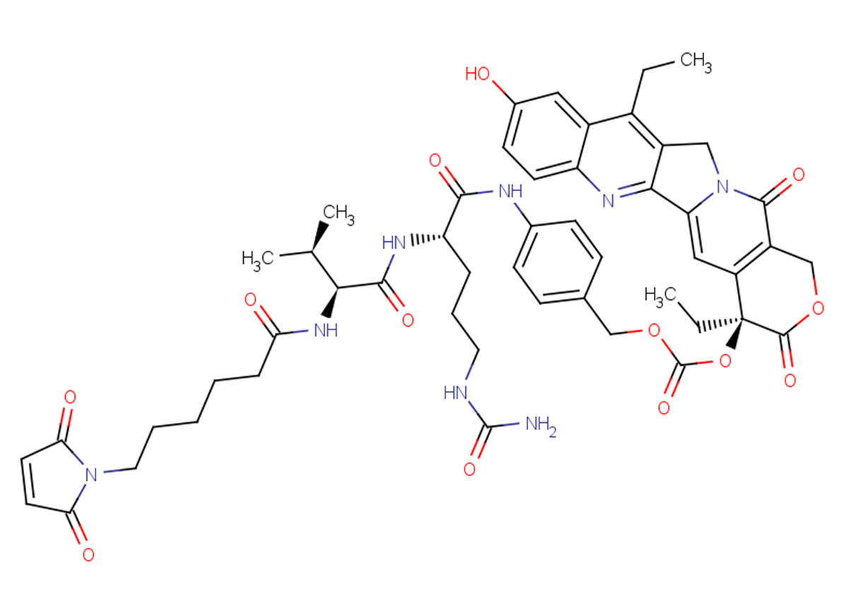 Mc-VC-PAB-SN38 | Inhibitor | TargetMol