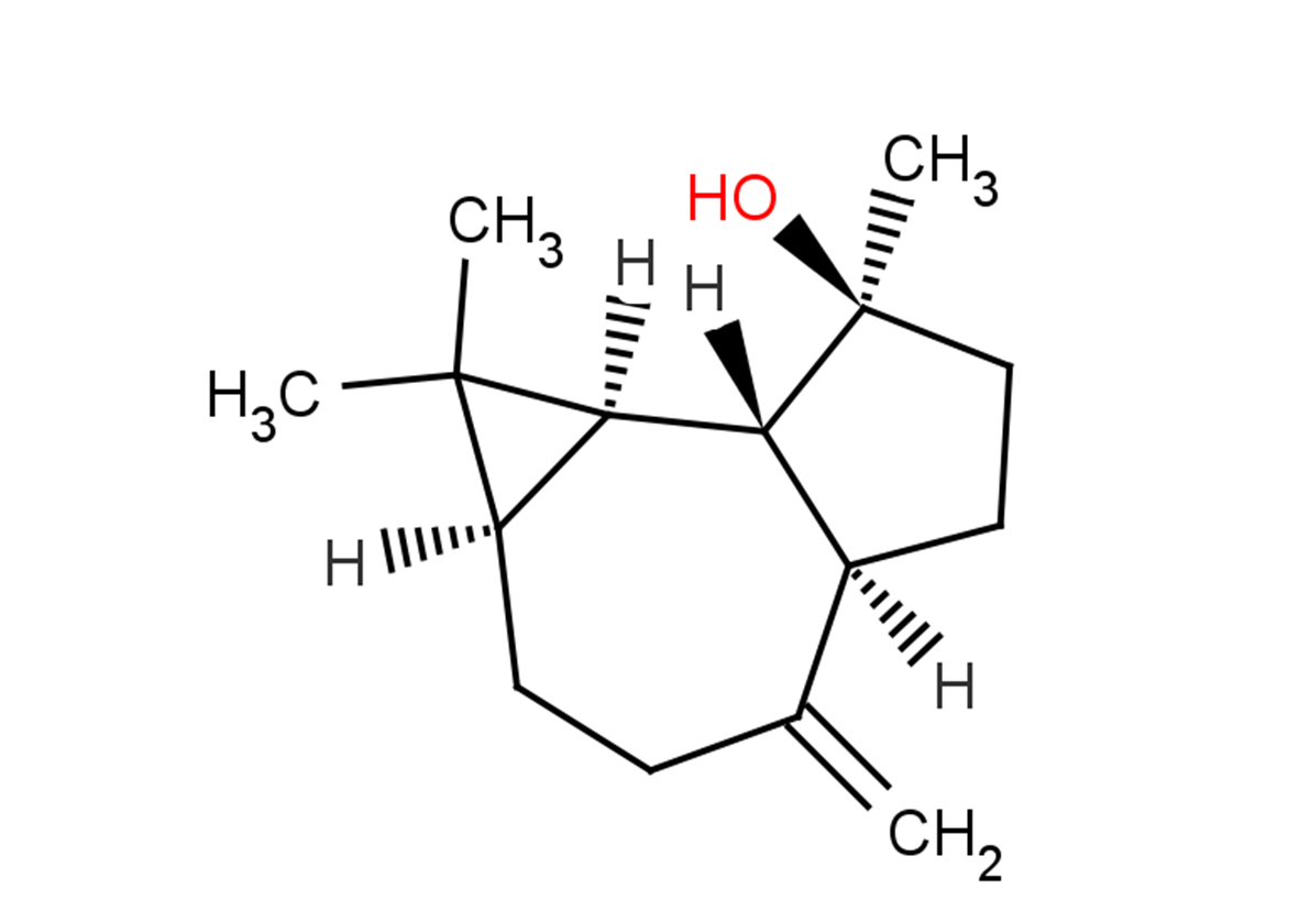 Spathulenol | Antifungal | Antioxidant | TargetMol