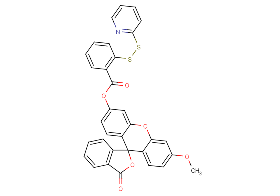 Wsp 1 Targetmol