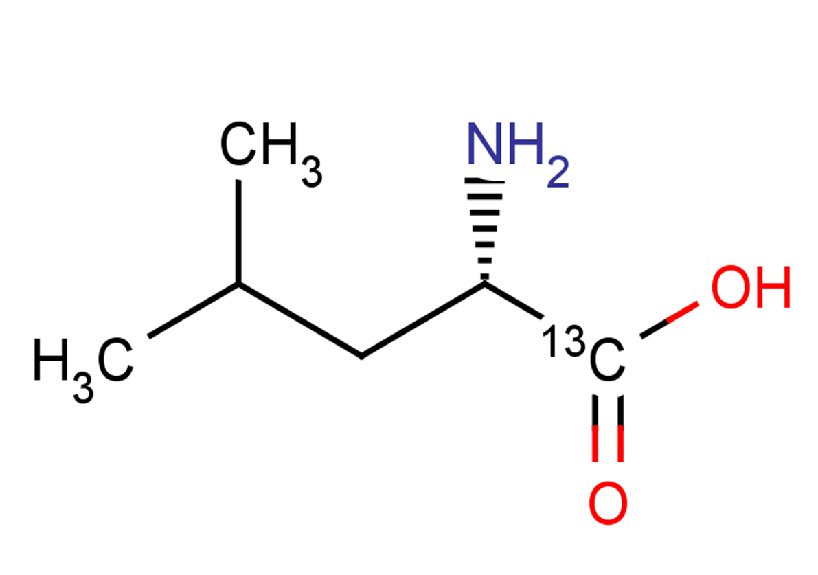 L-Leucine-1-13C | Endogenous Metabolite | mTOR | TargetMol