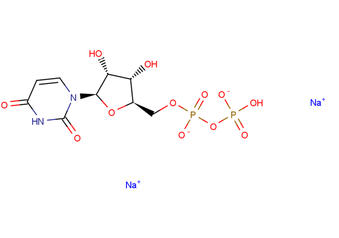 Uridine-5'-diphosphate disodium salt | DNA/RNA Synthesis | Endogenous Metabolite | P2Y Receptor ...