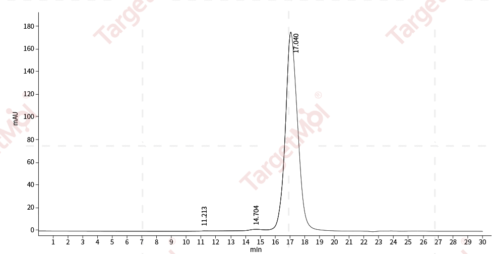 MMP-2 Protein, Human, Recombinant | TargetMol