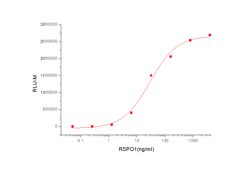 R-Spondin 1/RSPO1 Protein, Human, Recombinant | TargetMol