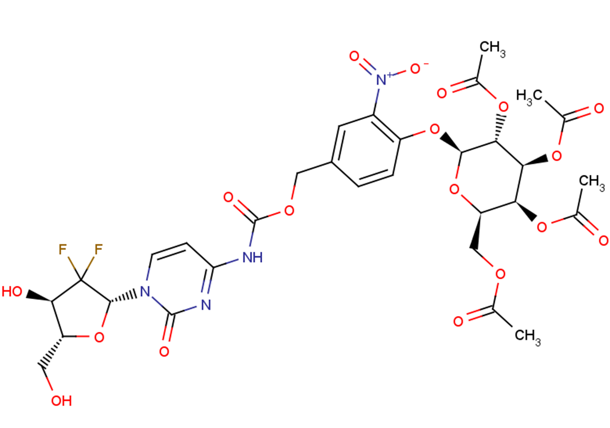 SSK1 | p38 MAPK | TargetMol