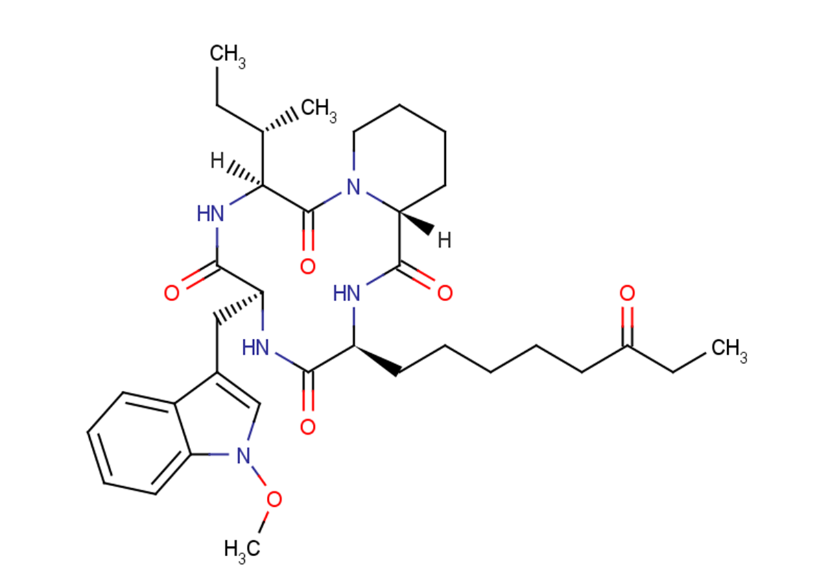 Apicidin | HDAC | Apoptosis | Autophagy | TargetMol