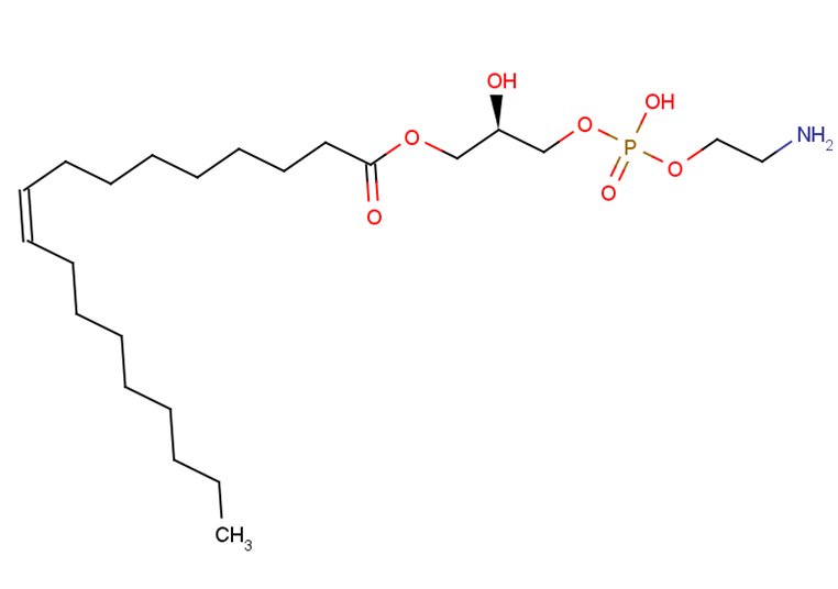 PE(18:1(9Z)/0:0) | Endogenous Metabolite | TargetMol