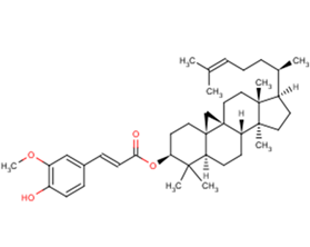 γ-Oryzanol - DNA Methyltransferase