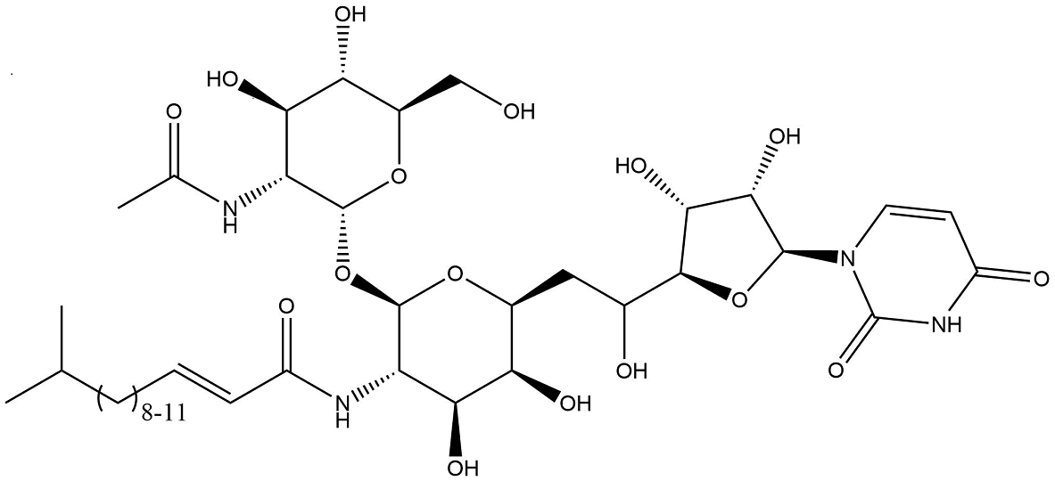Tunicamycin - Influenza Virus | Antifungal | Antibiotic | Antibacterial
