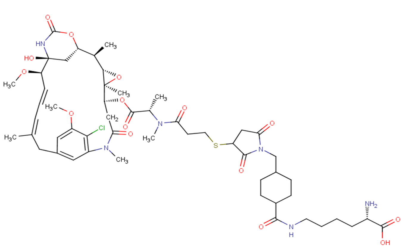 Lys-SMCC-DM1 | Microtubule Associated | TargetMol