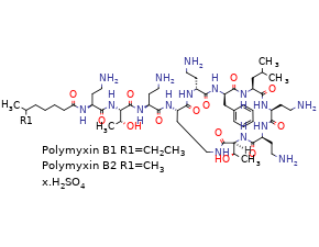 Polymyxin B sulfate (1404-26-8 free base) | Antibacterial | Antibiotic ...