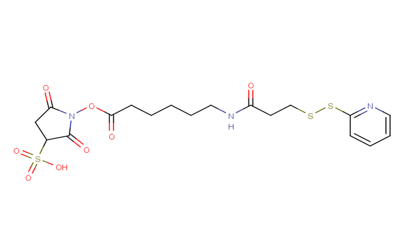 Sulfo-LC-SPDP - Inhibitor