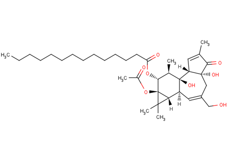 Phorbol 12-myristate 13-acetate - NF-κB | PKC | S1P Receptor