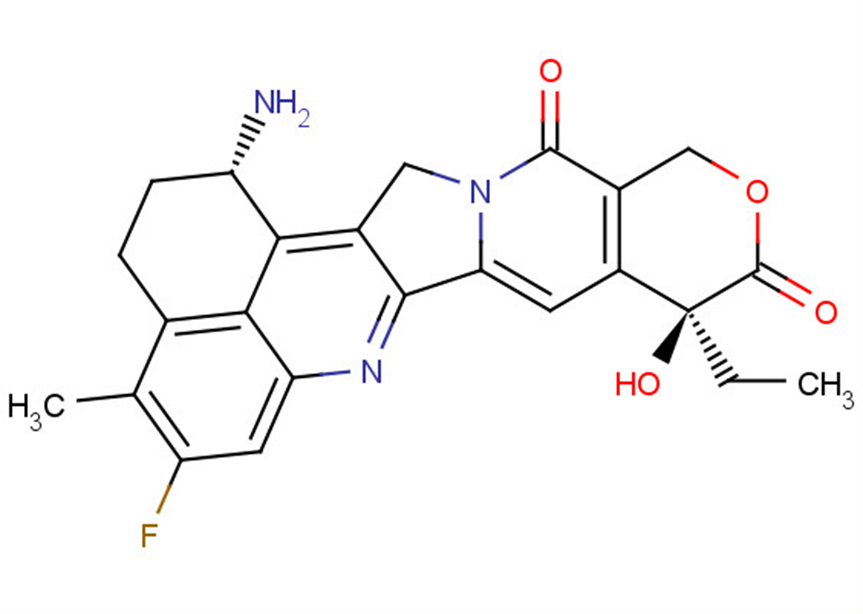 Exatecan - Inhibitor