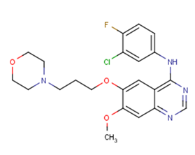 Gefitinib | Autophagy | EGFR | Tyrosine Kinases | TargetMol