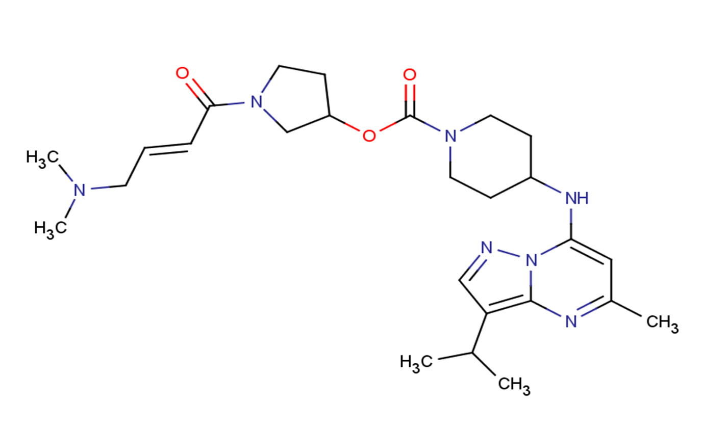 LY3405105 | CDK | TargetMol
