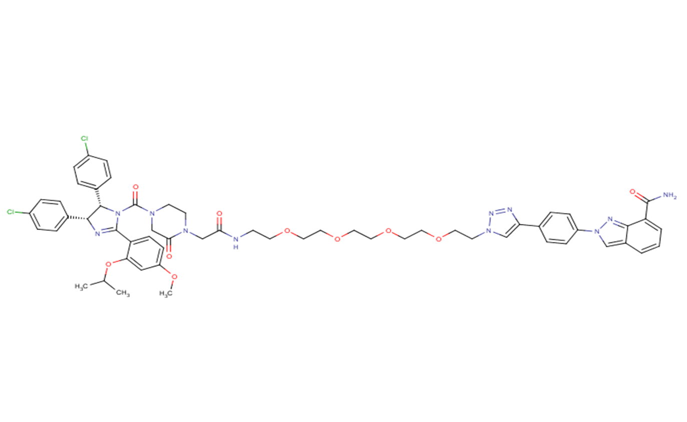 PROTAC PARP1 degrader | Inhibitor | TargetMol