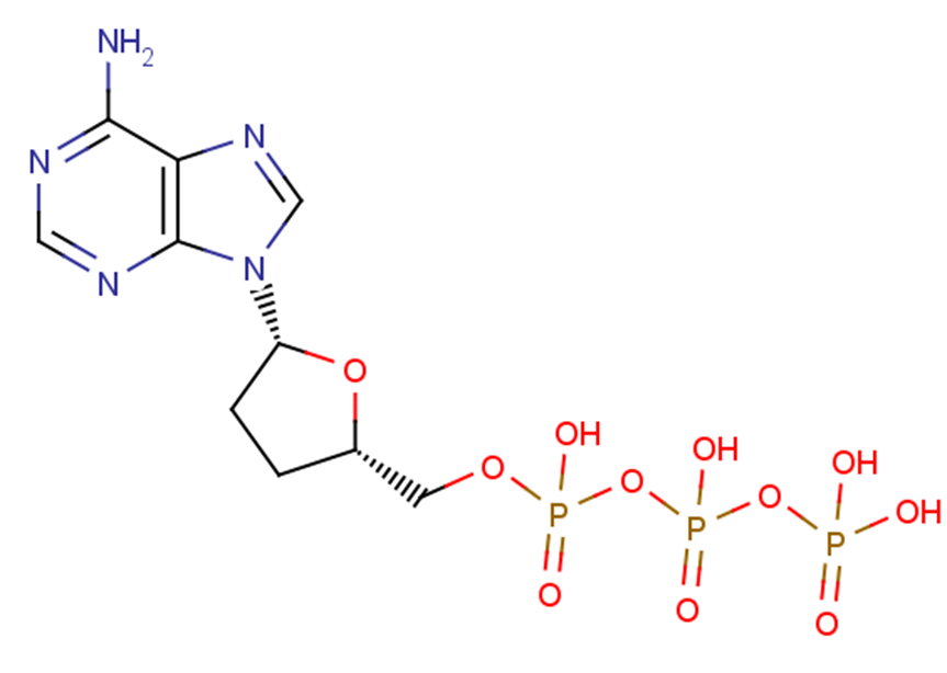 ddATP | Inhibitor | TargetMol