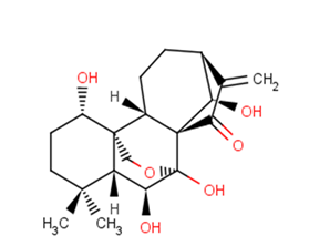 Oridonin | Akt | Antibacterial | TargetMol