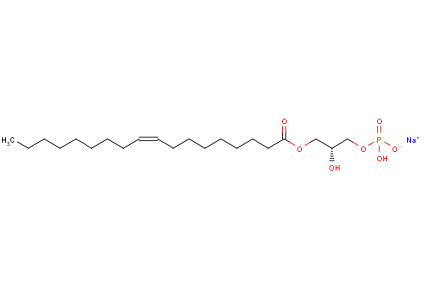 1-Oleoyl lysophosphatidic acid sodium | LPA Receptor | TargetMol