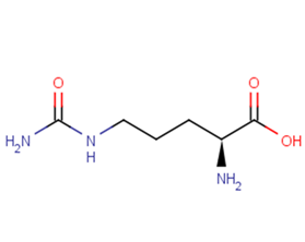 L-Citrulline - Endogenous Metabolite