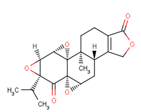 Triptonide | Apoptosis | Autophagy | Wnt/beta-catenin | TargetMol