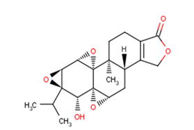 Triptolide - Apoptosis | HSP | Mdm2 | NF-κB