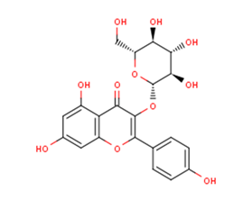 Astragalin | Apoptosis | NF-κB | TargetMol