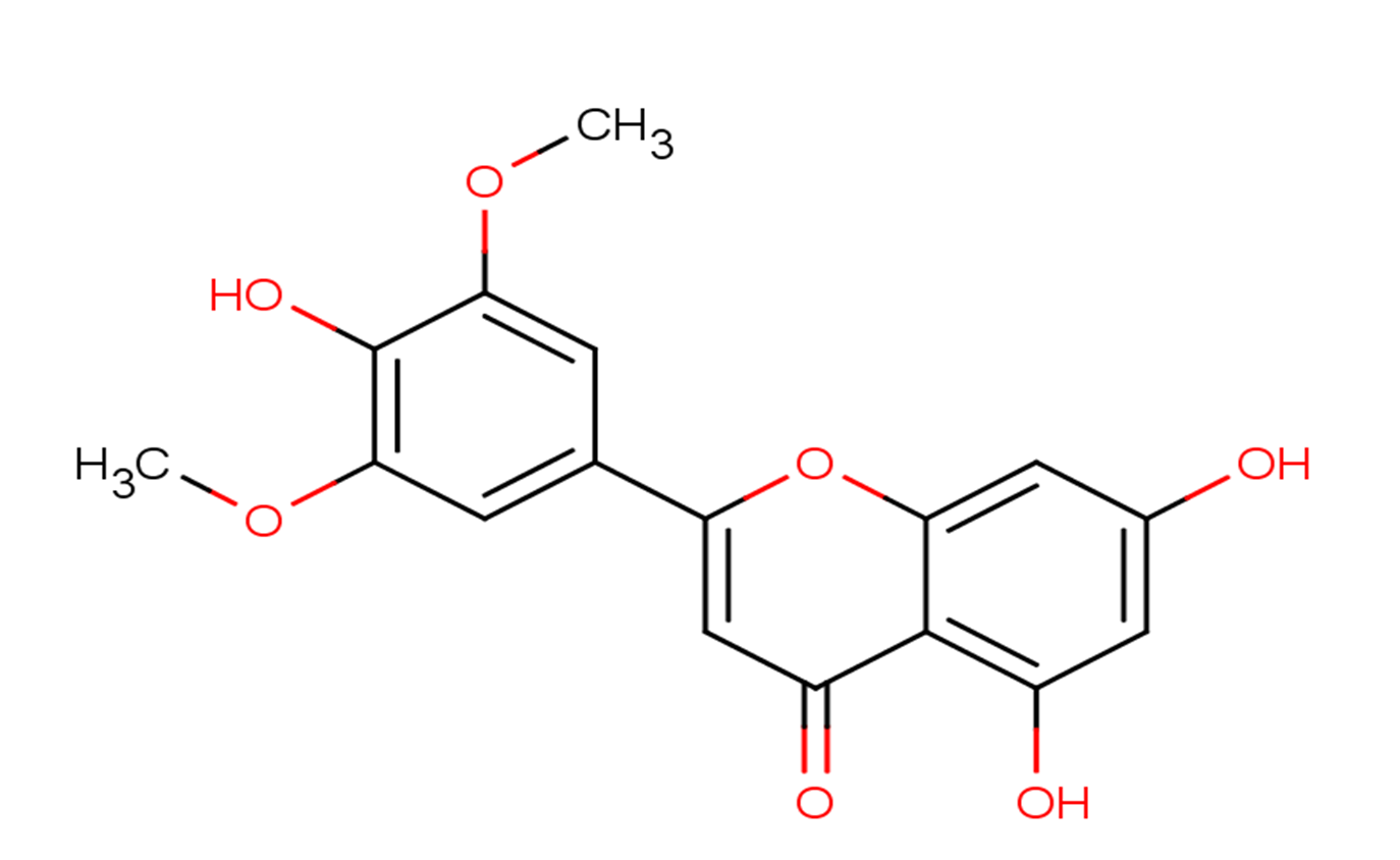 Tricin - CDK | Inhibitor