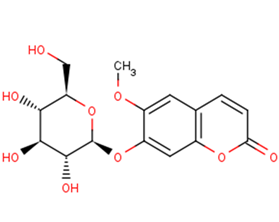 Scopolin | Sirtuin | TargetMol