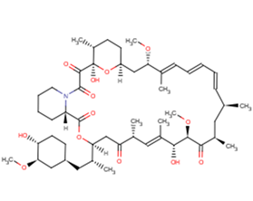 Rapamycin | Inhibitor | Endogenous Metabolite | Antibiotic | mTOR ...